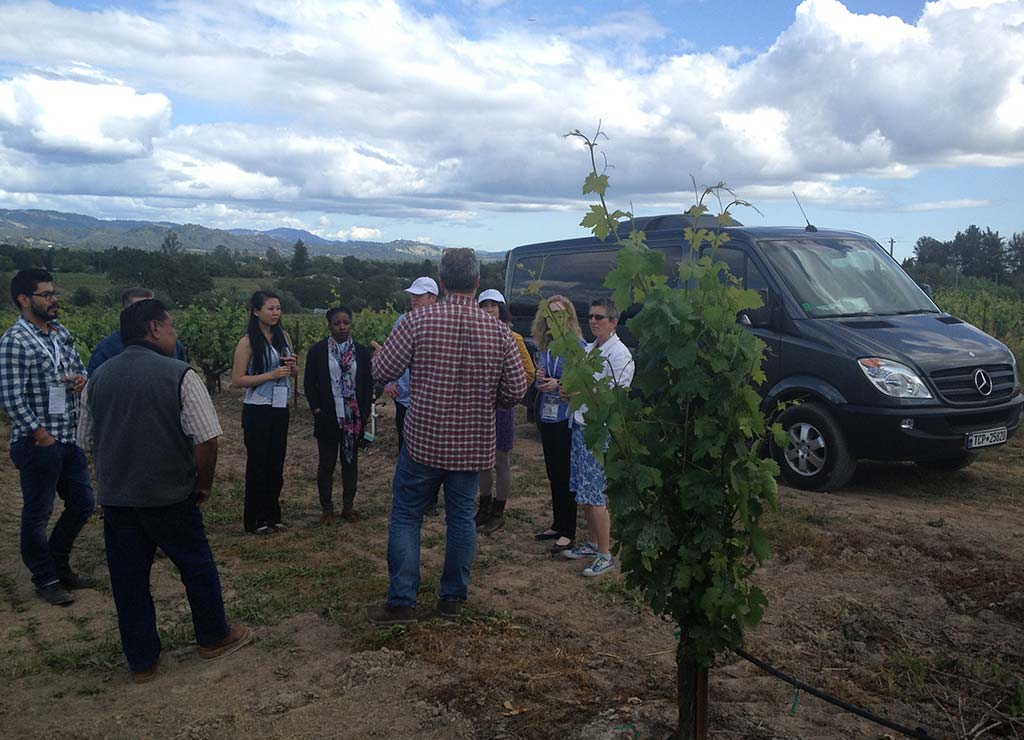 silver_service_tours_mercedes_sprinter_van_11 - Silver Service Tours