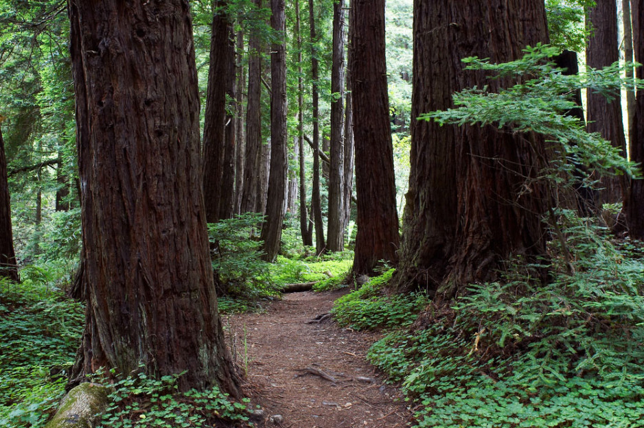 Crossover Wine Tour - Silver Service Exclusice Sonoma & Napa Wine Tour