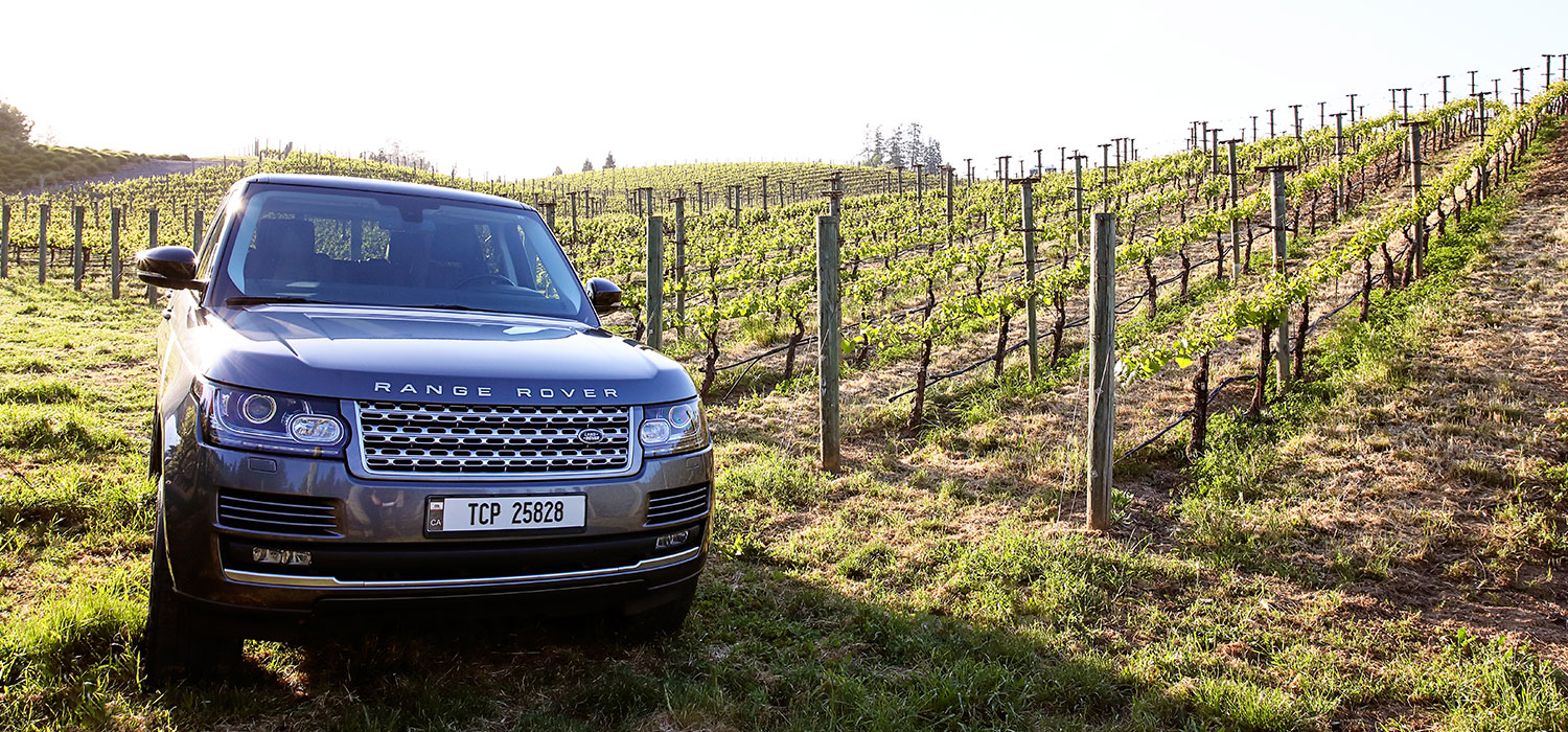 Range Rover L - Silver Service Exclusive Sonoma & Napa Wine Tours