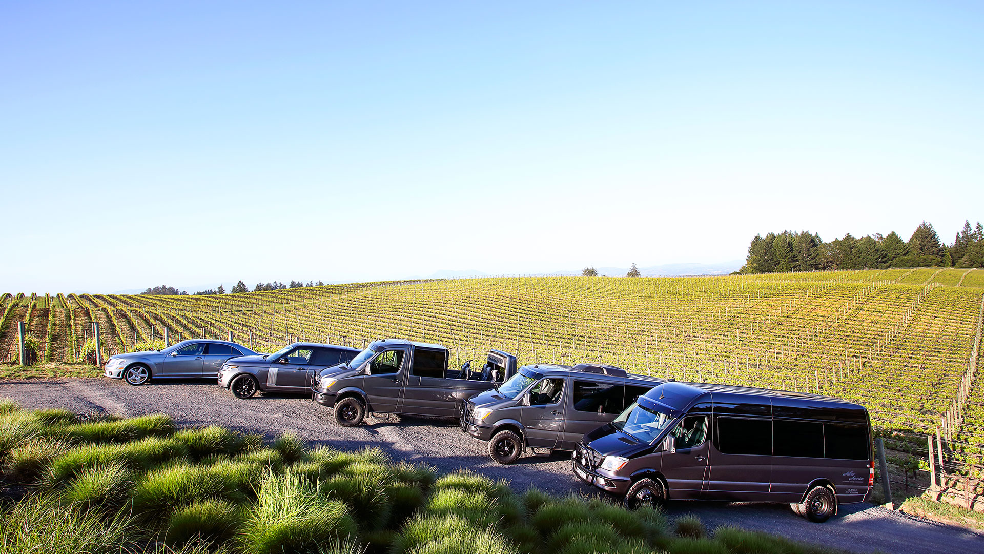 Silver Service Tours - The Premier Wine Tour Service In Sonoma & Napa